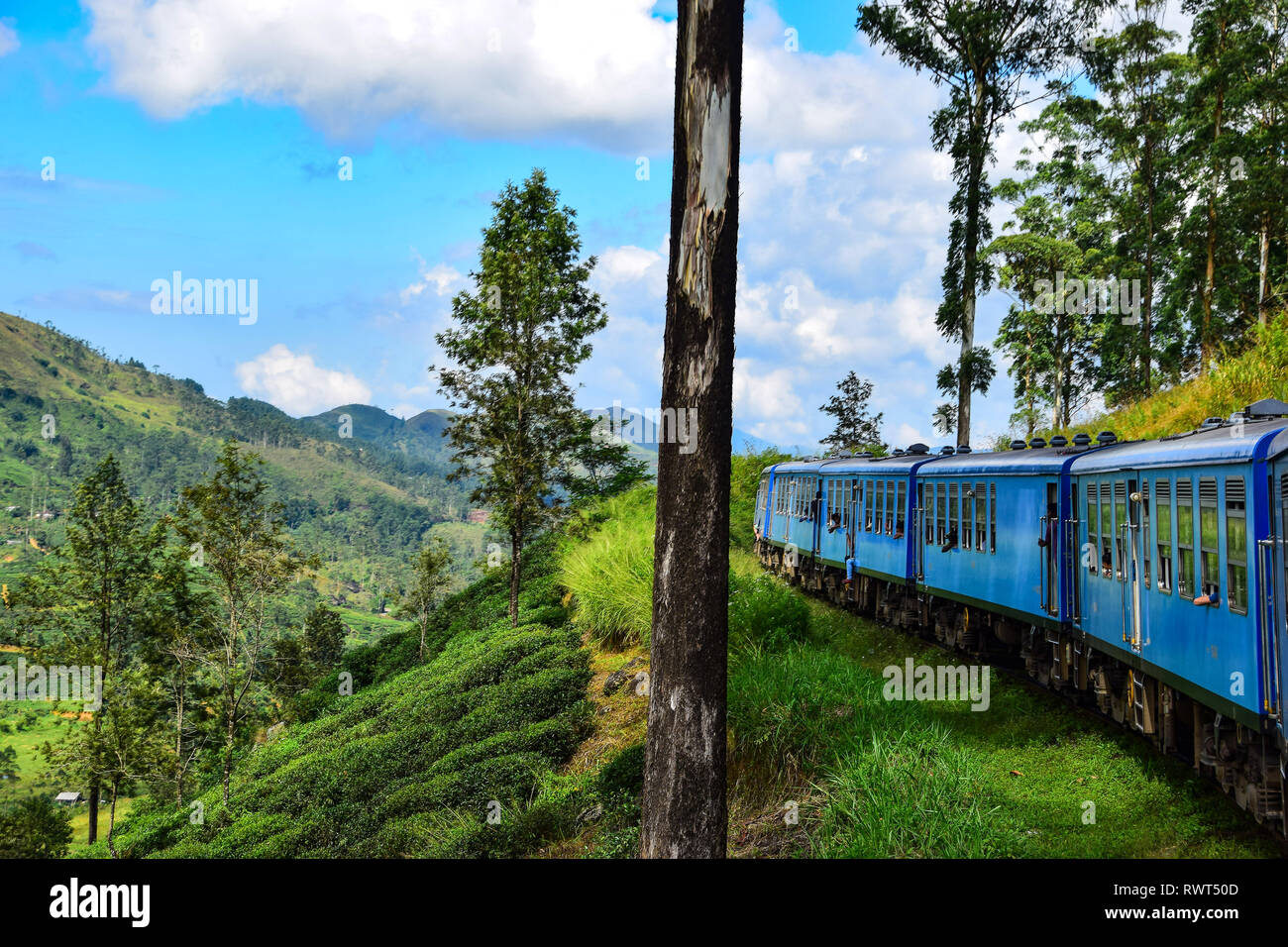 Sri Lankan Blue Train ride heading through hill country and tea plantations from Colombo to ...
