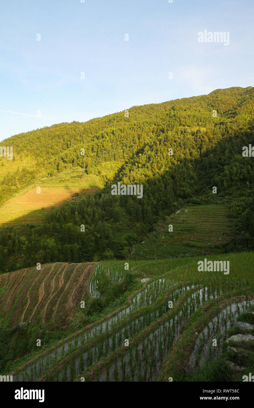 Longsheng rice terraces landscape in China Stock Photo - Alamy