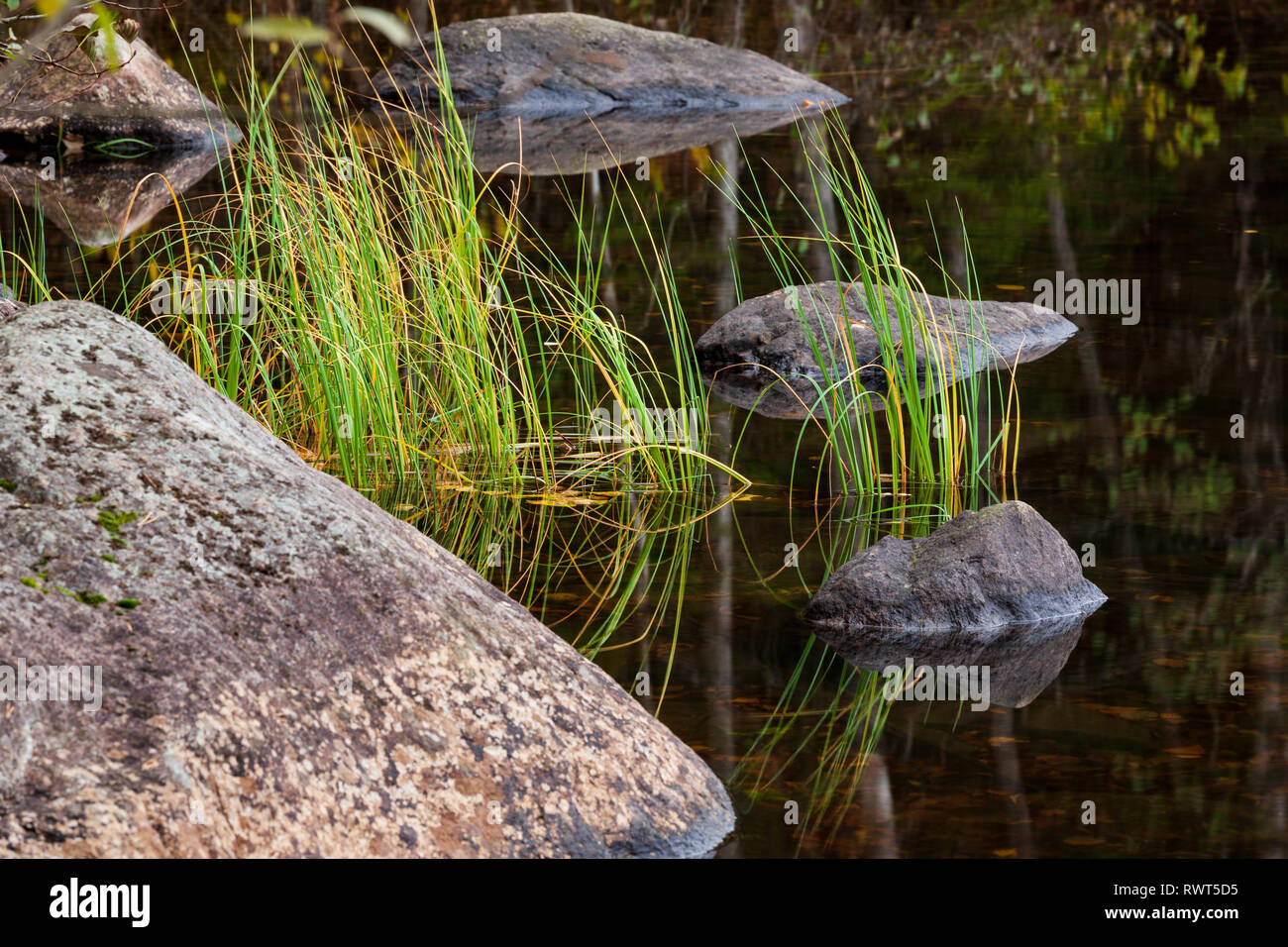 Rocks and grass hi-res stock photography and images - Alamy