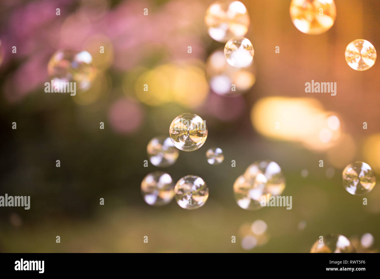 Colorful soap bubbles outdoors, summer time, fun Stock Photo - Alamy