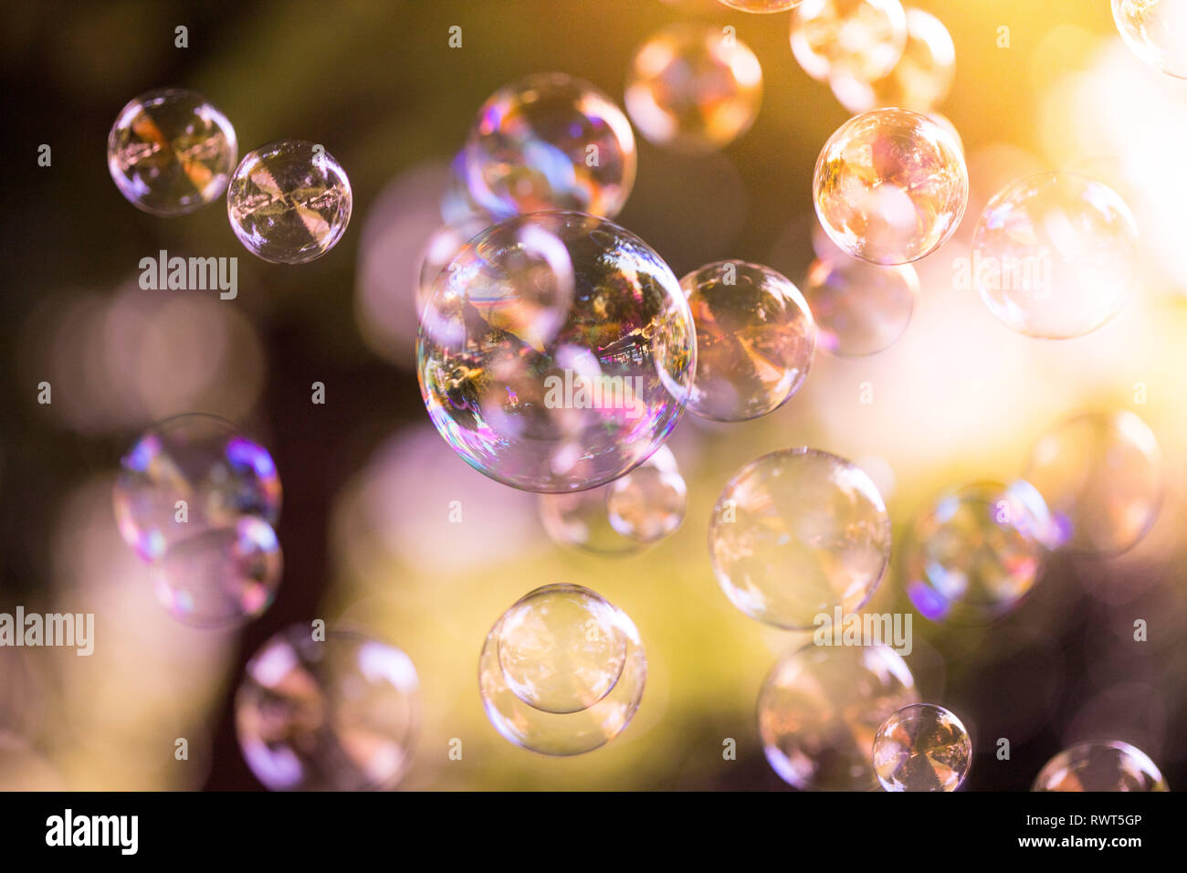 Colorful soap bubbles outdoors, summer time, fun Stock Photo - Alamy