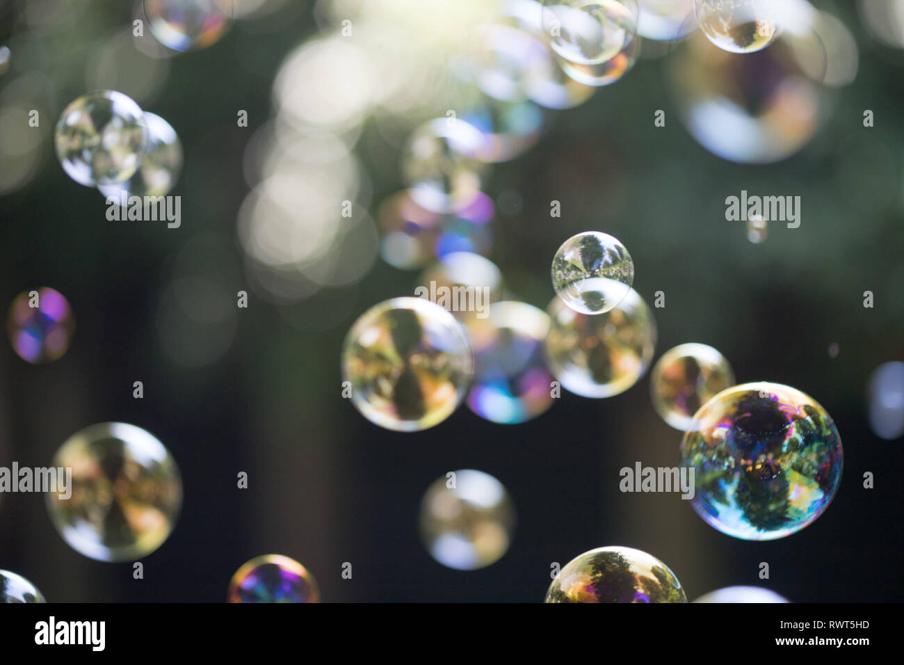 Colorful soap bubbles outdoors, summer time, fun Stock Photo - Alamy