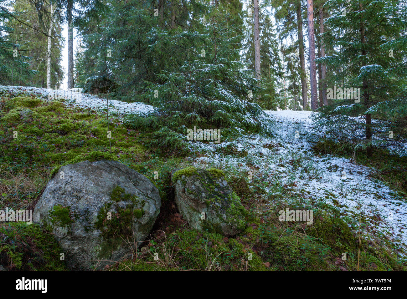 Small amount of snow hi-res stock photography and images - Alamy