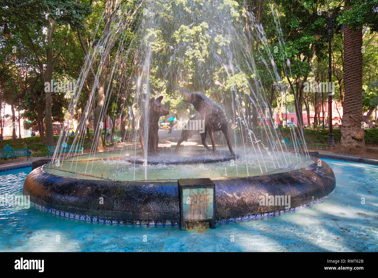 Coyoacan, Mexico City, Mexico-20 April, 2018: Drinking coyotes statue ...