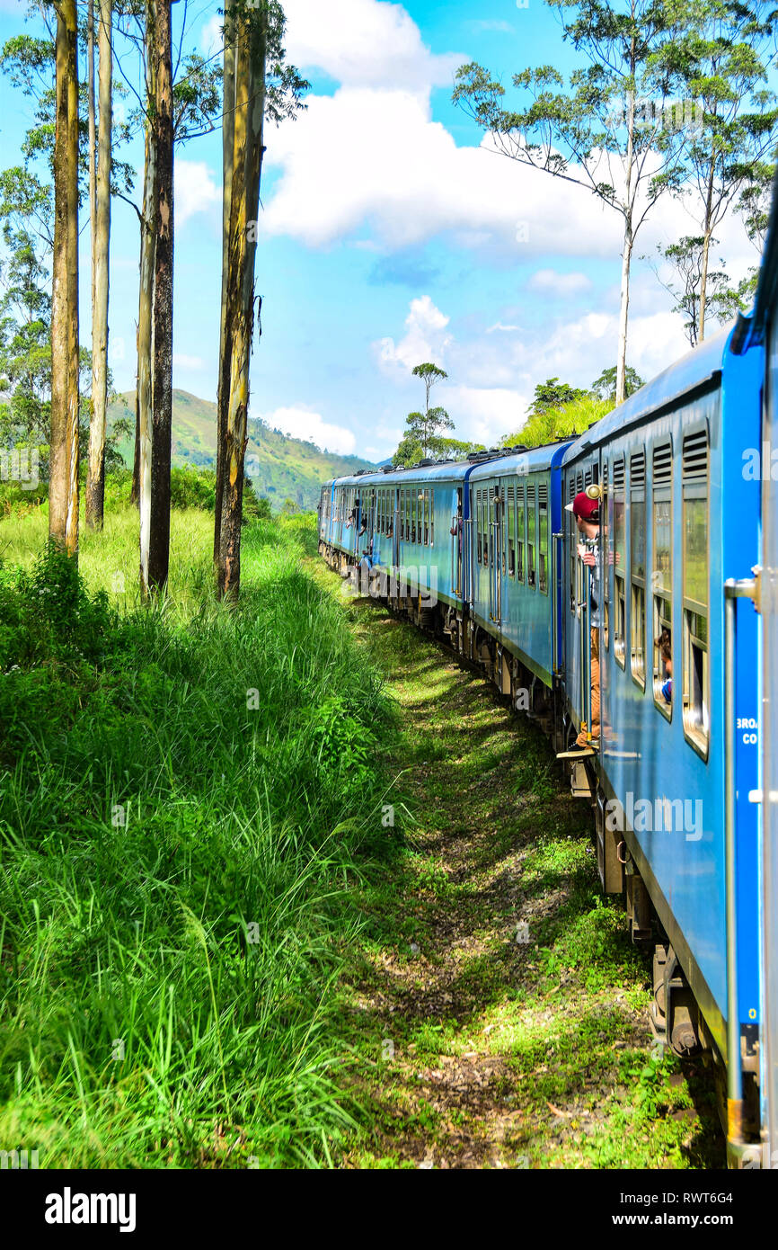 Sri Lankan Blue Train ride heading through hill country and tea plantations from Colombo to ...