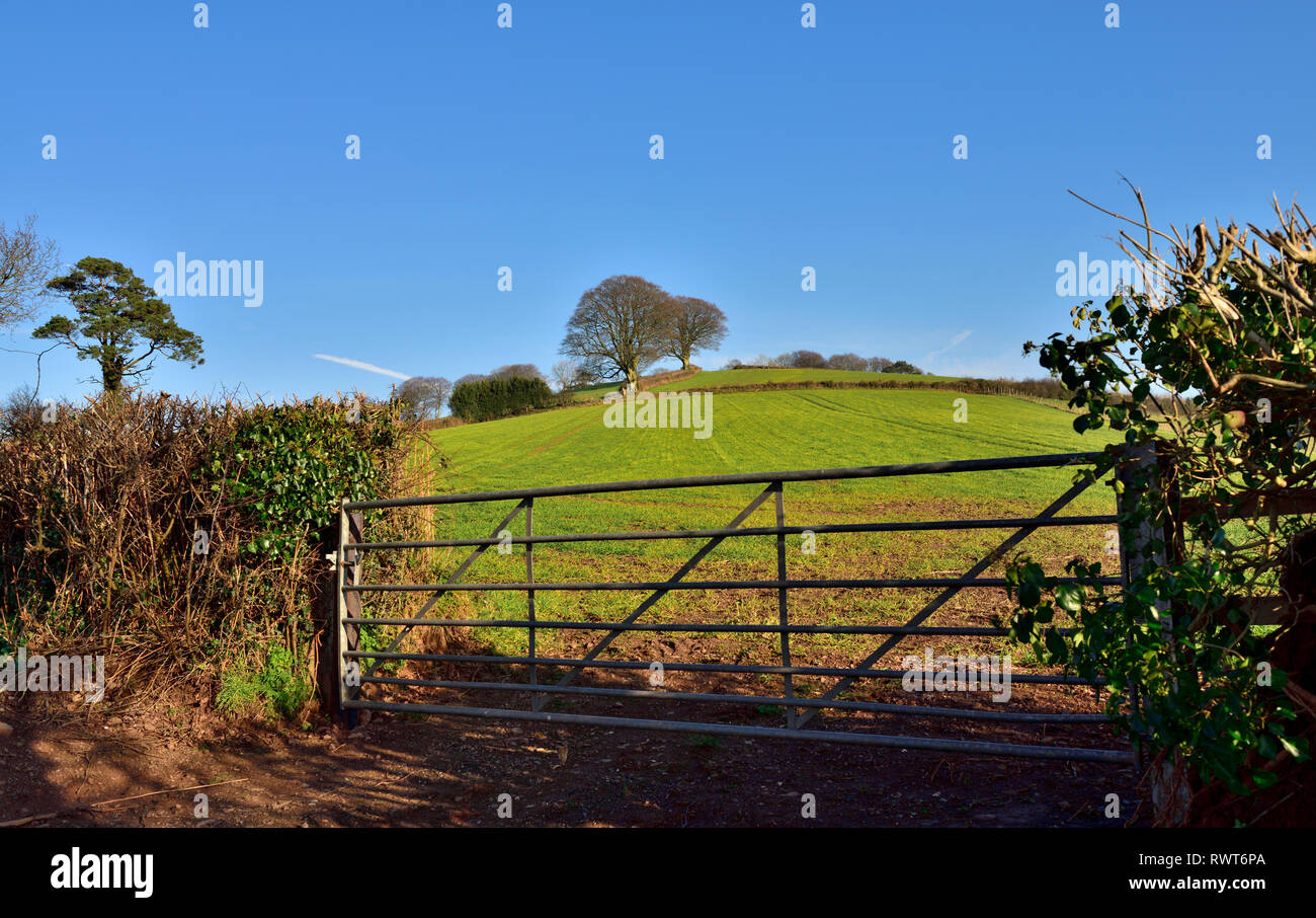 Devon countryside view with rolling green hills, trees view through ...