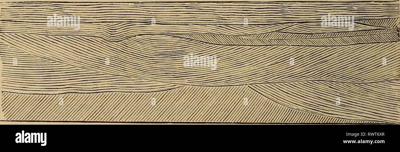 Elements of geology a Stock Photo - Alamy