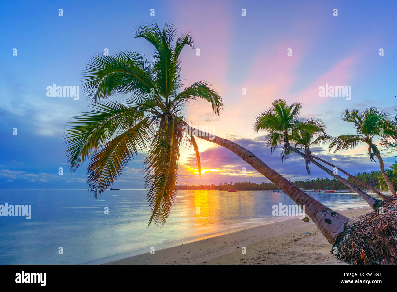 Sunrise over tropical beach Stock Photo - Alamy