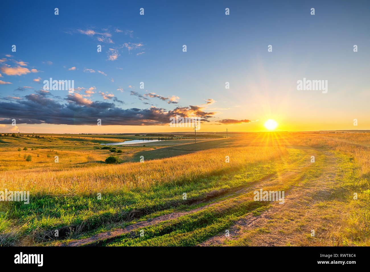 Rural landscape with ground road and wheat field at beautiful summer ...