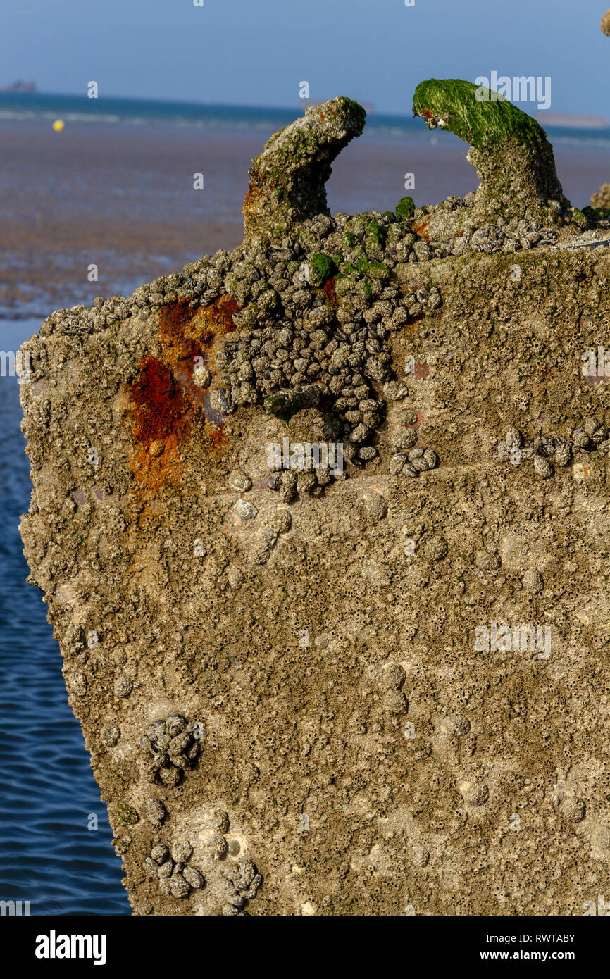 Mulberry harbour at gold beach hi-res stock photography and images - Alamy