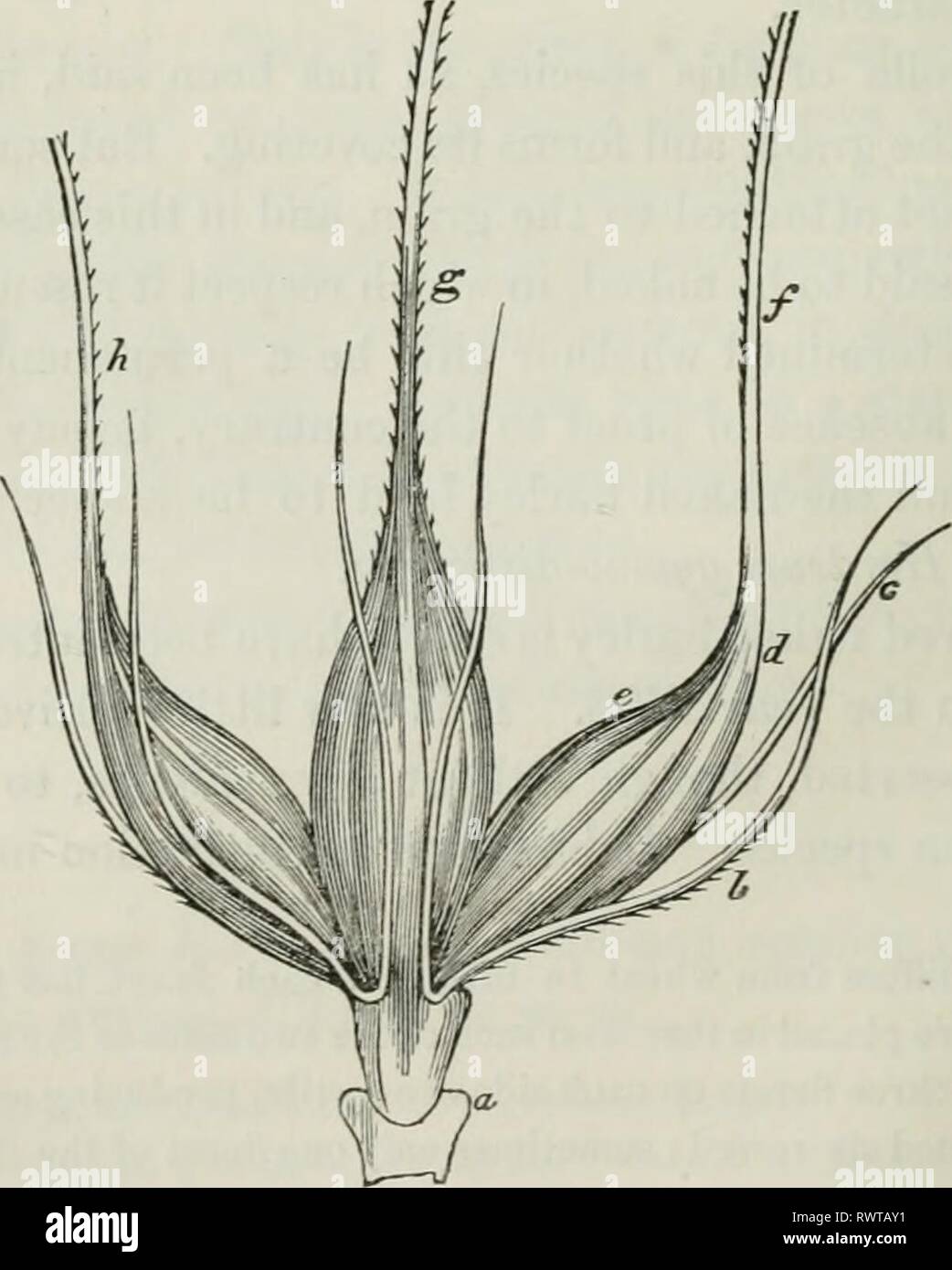 Two conical elements hi-res stock photography and images - Alamy