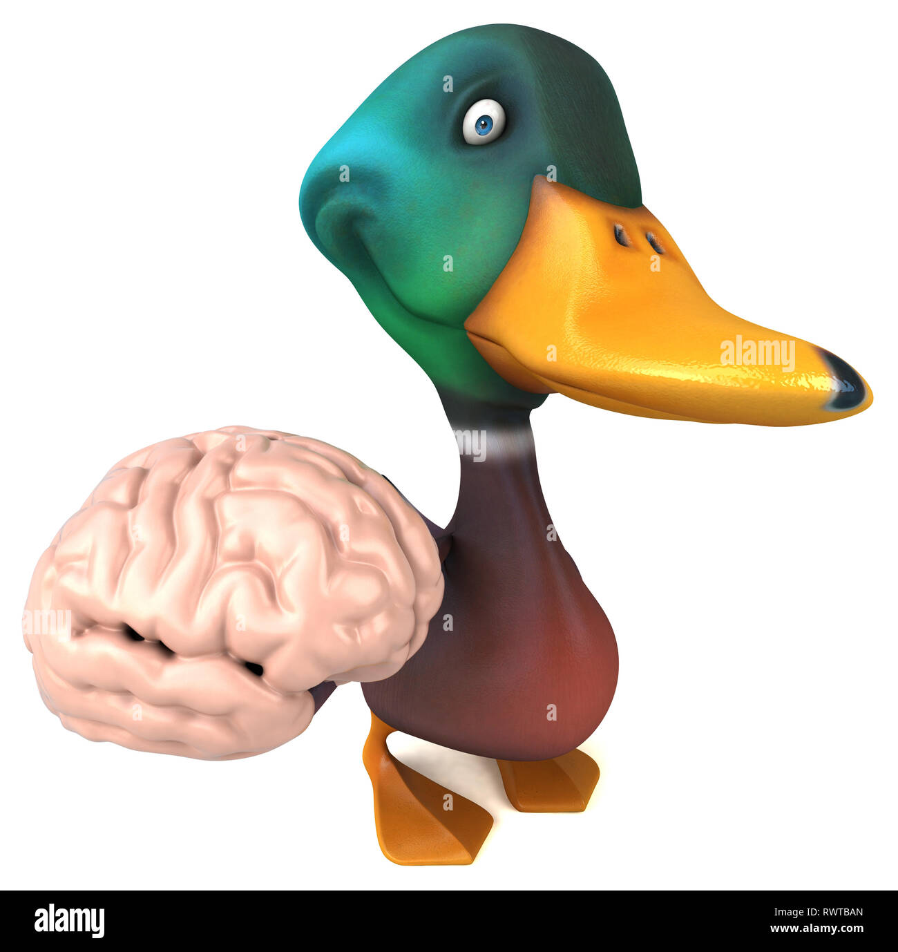 Brain with beak Cut Out Stock Images & Pictures - Alamy