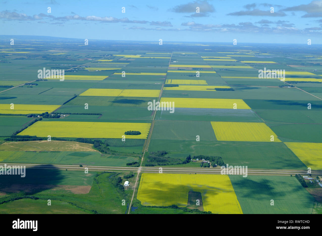 Farming carberry hi-res stock photography and images - Alamy