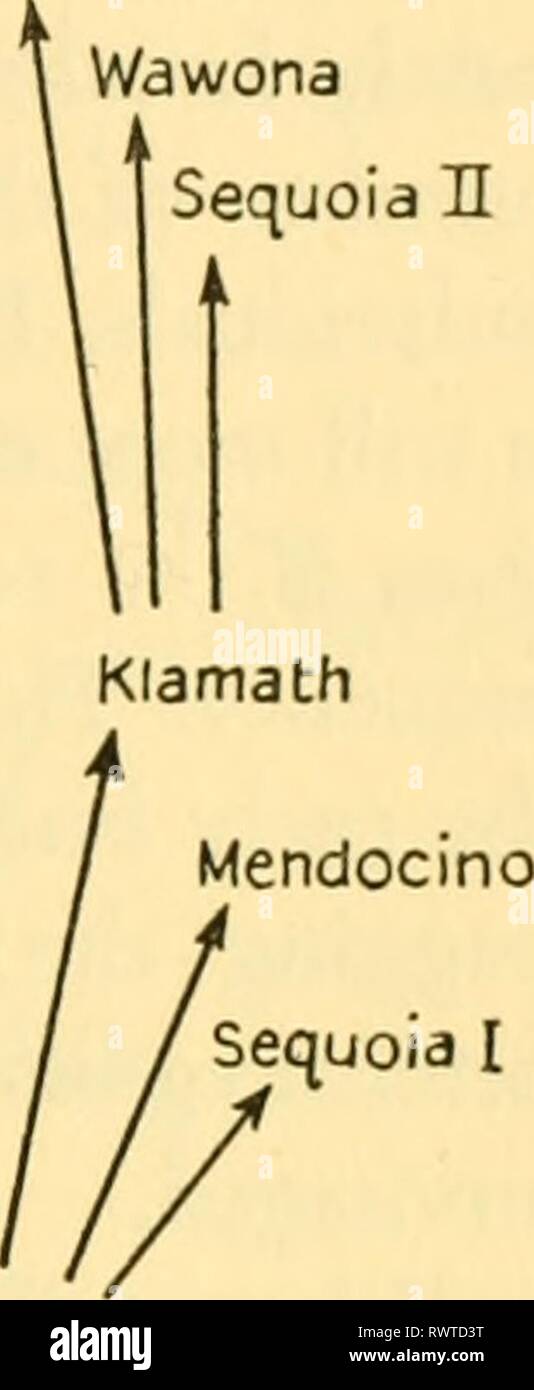 The elements of genetics (1950 Stock Photo - Alamy