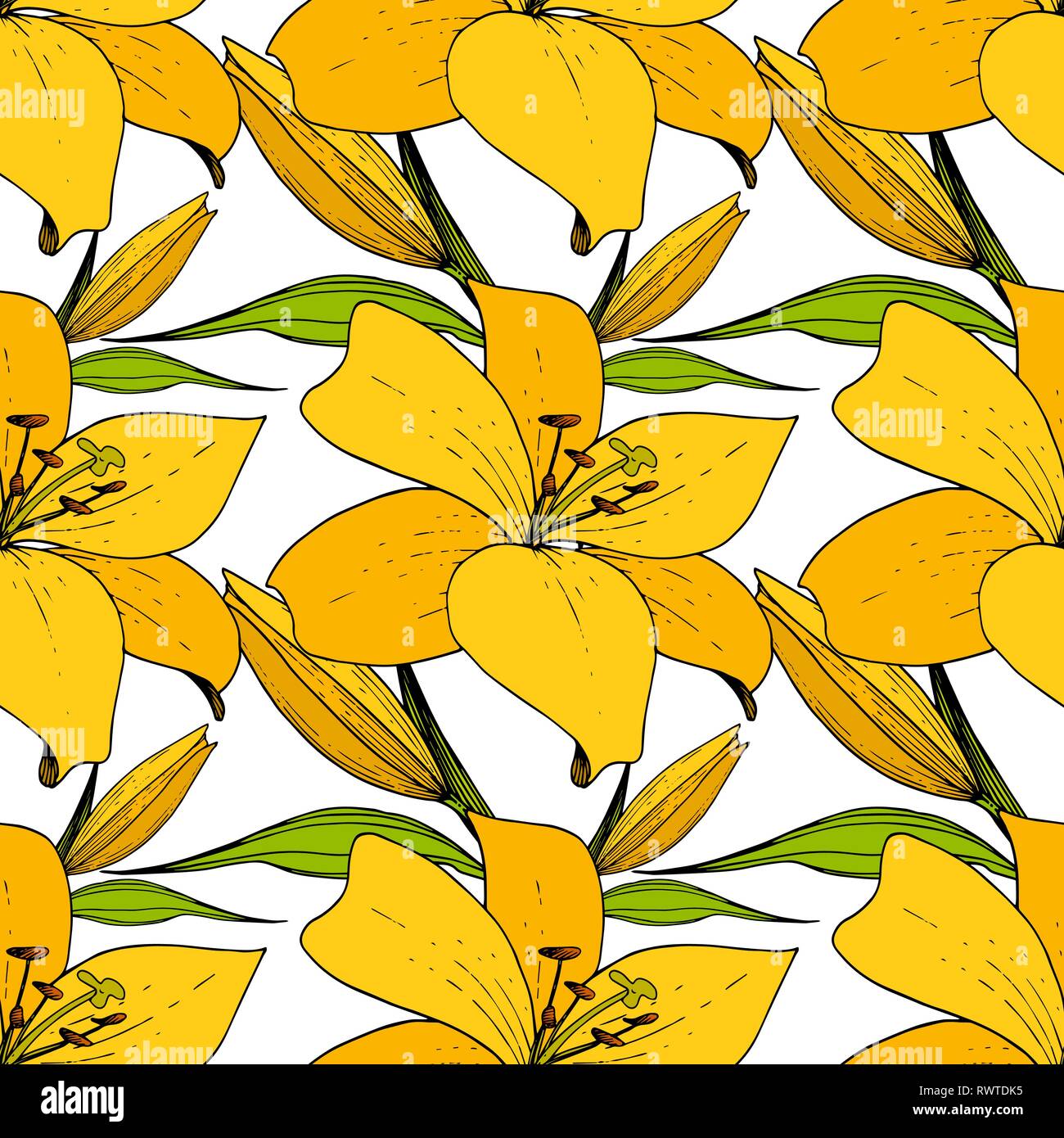 Vector Lily floral botanical flower. Engraved ink art. Seamless ...