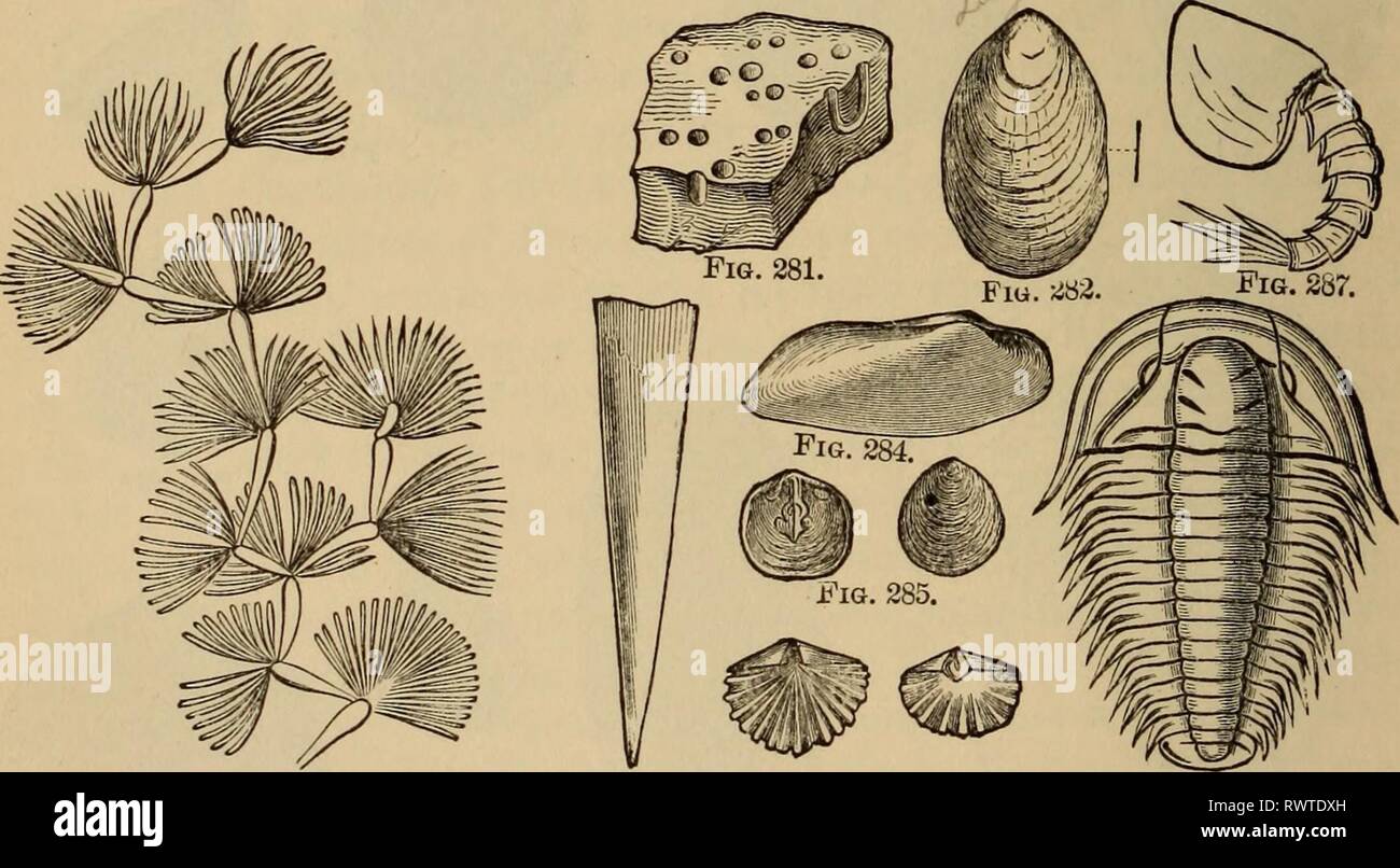 Elements of geology a Stock Photo - Alamy