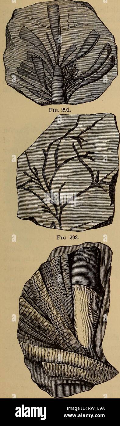Elements of geology a Stock Photo - Alamy
