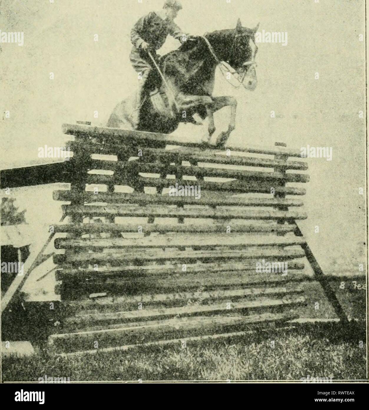 Worlds Tallest Horse Jump