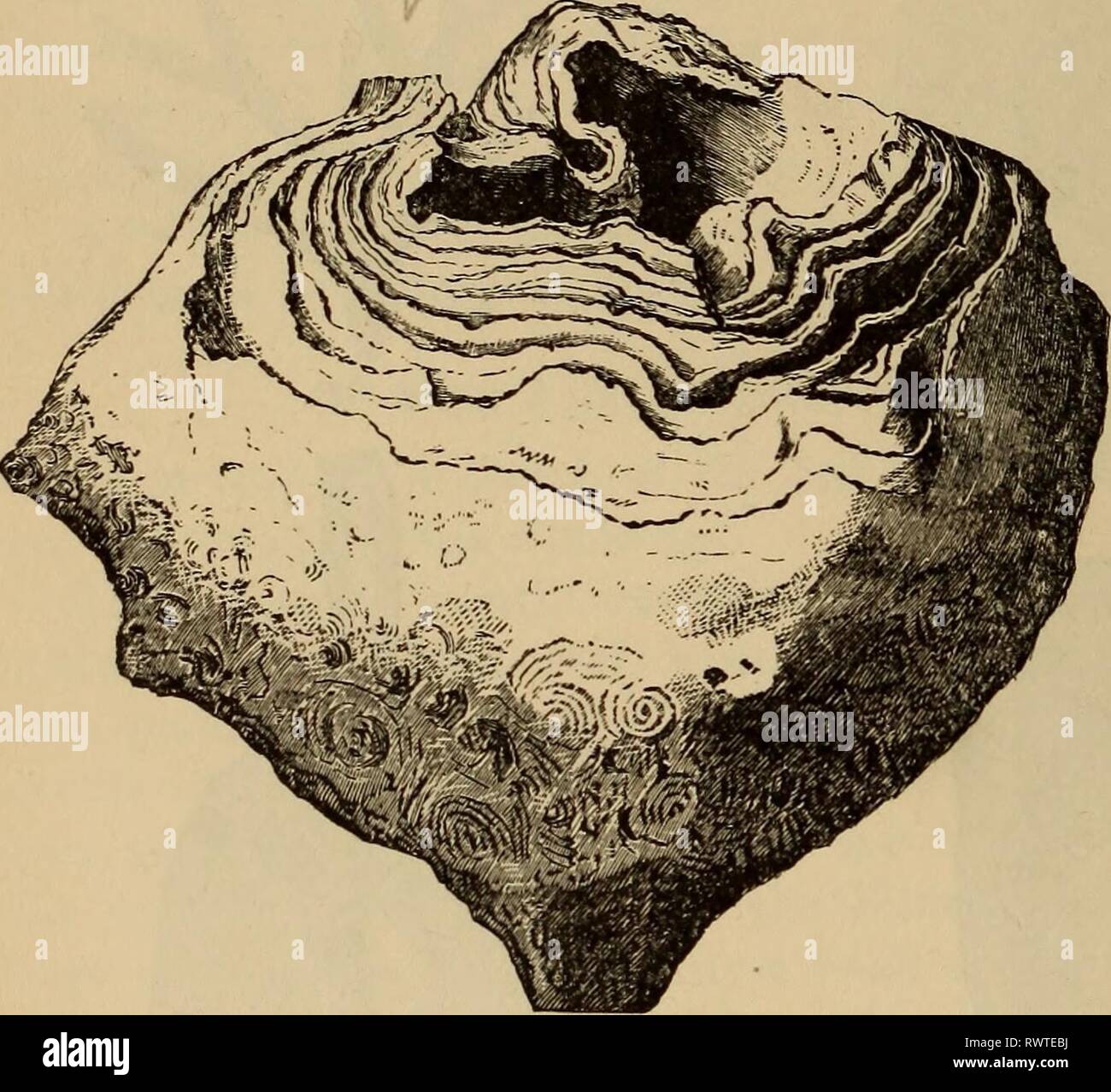 Elements of geology a Stock Photo - Alamy