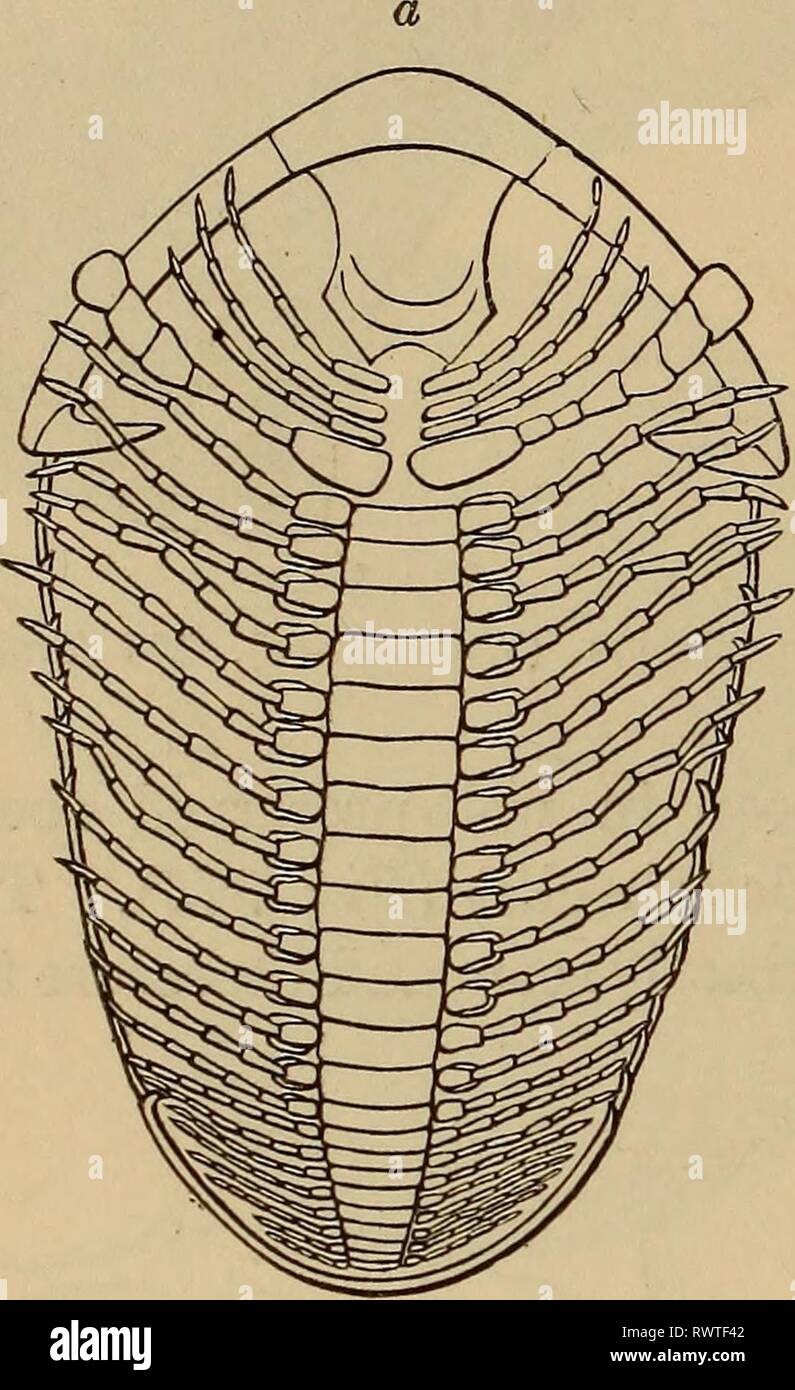 Elements of geology a Stock Photo - Alamy