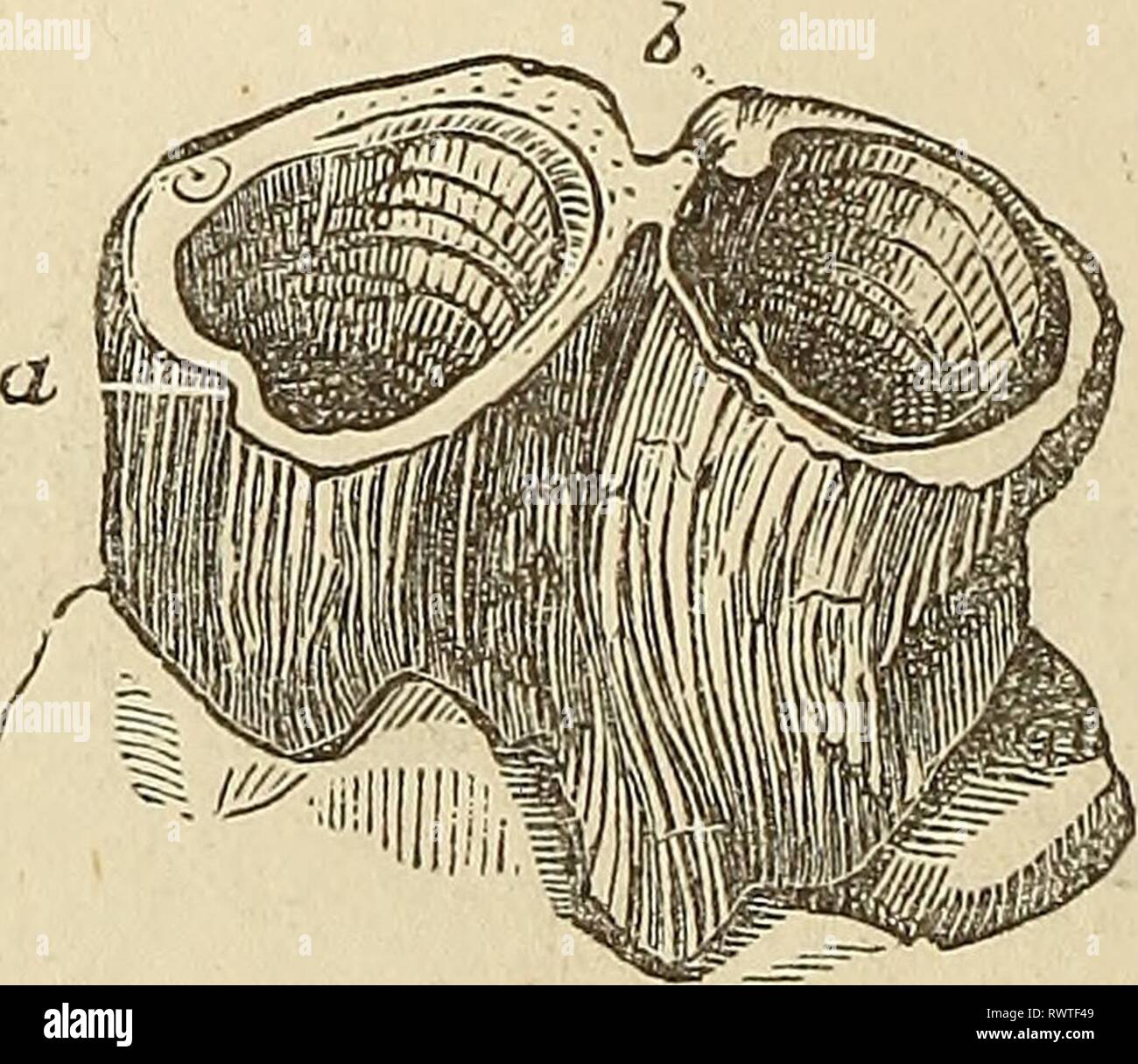 Lower greensand hi-res stock photography and images - Alamy