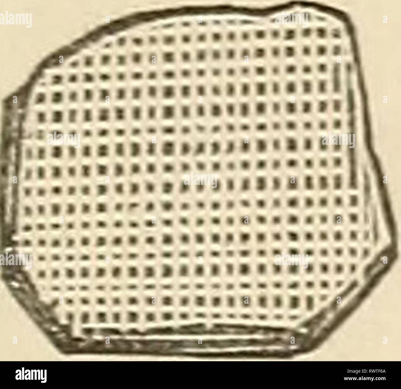 Elements of geology, or, The Elements of geology, or, The ancient ...