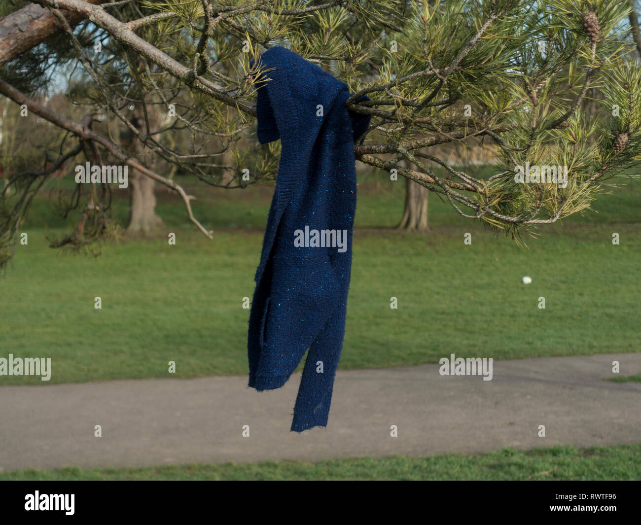 Lost clothing left on a tree Stock Photo - Alamy