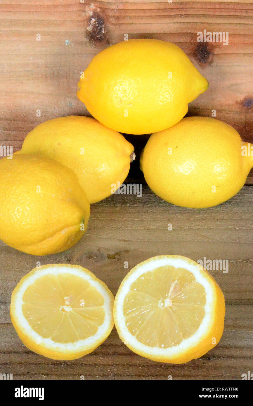 Lemons sunshine tree hi-res stock photography and images - Alamy