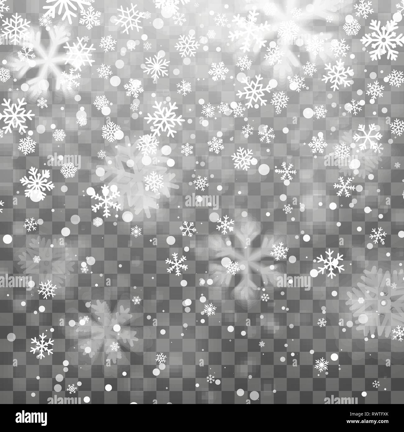Falling Snowflake Photography