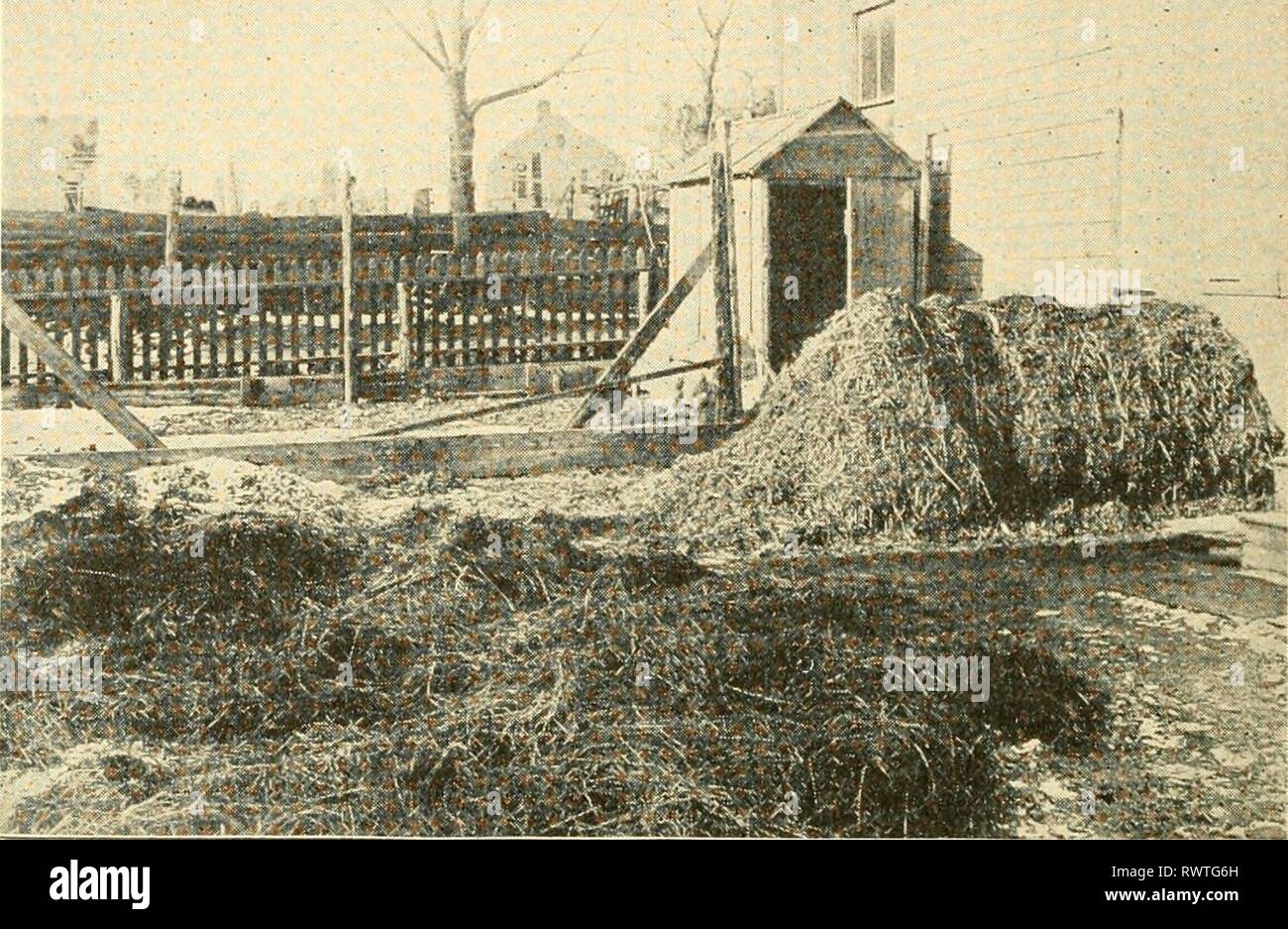 Elementary biology; an introduction to Stock Photo - Alamy