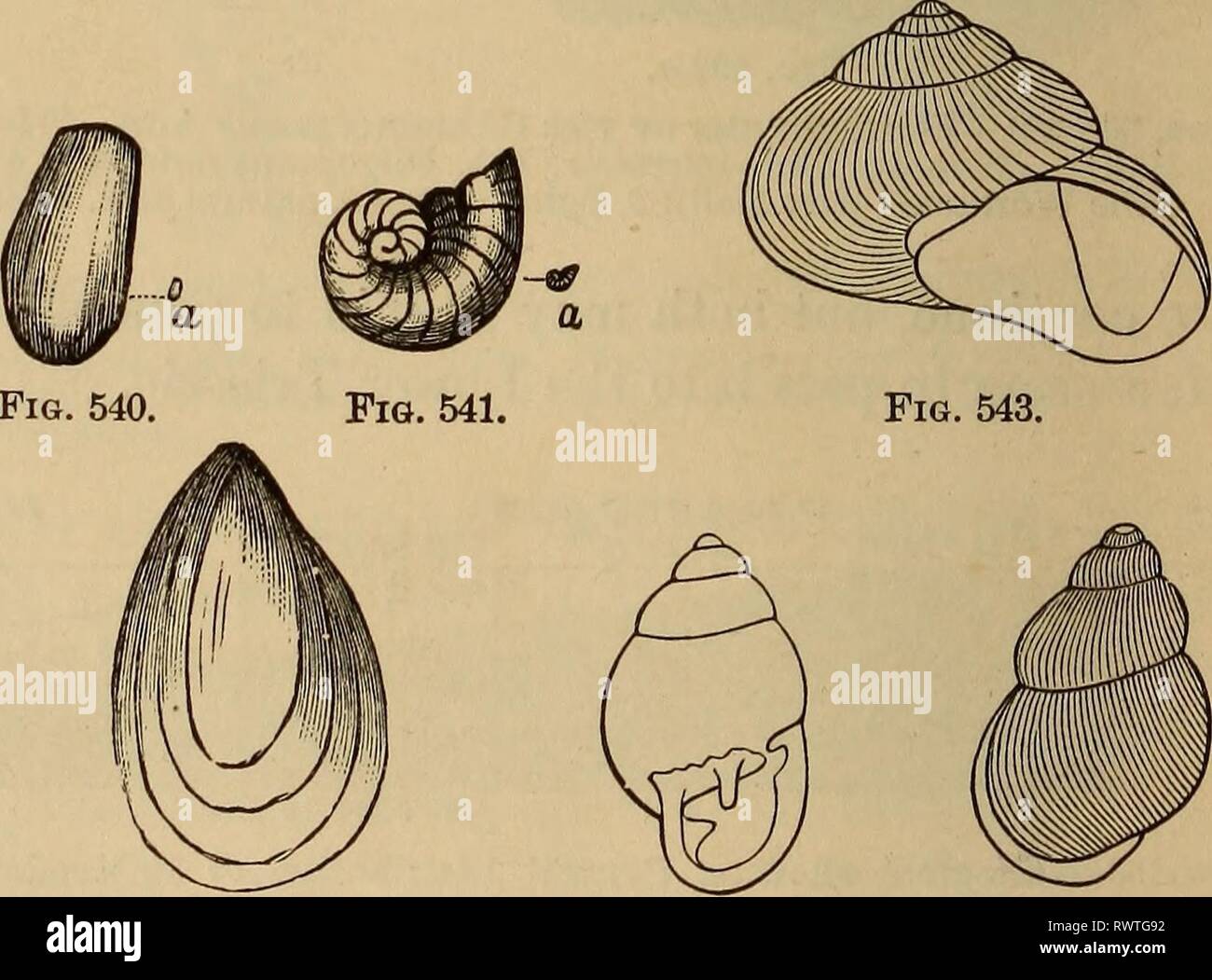 Elements of geology a Stock Photo - Alamy