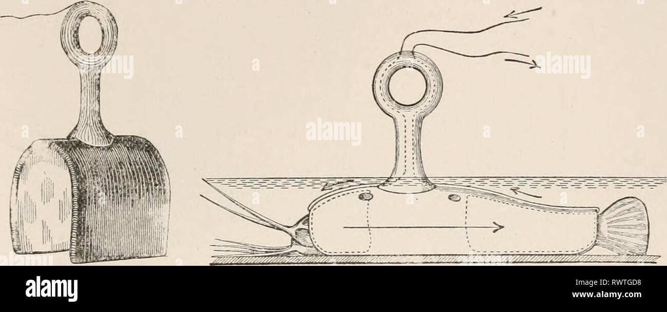 Torpedo shaped body hi-res stock photography and images - Alamy