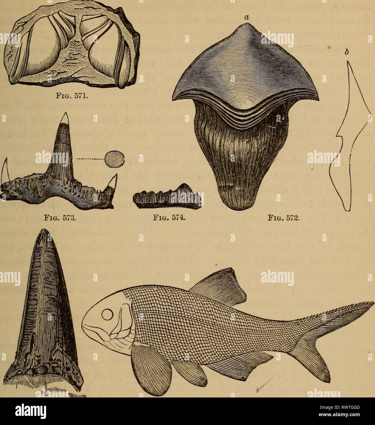 Elements of geology a Stock Photo - Alamy