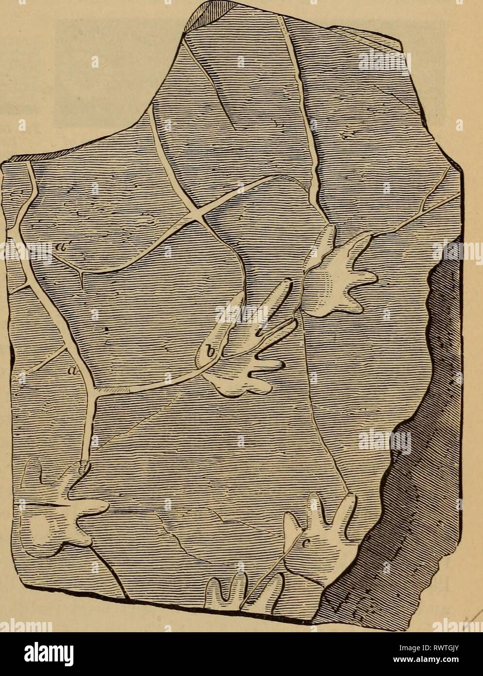 Elements of geology a Stock Photo - Alamy