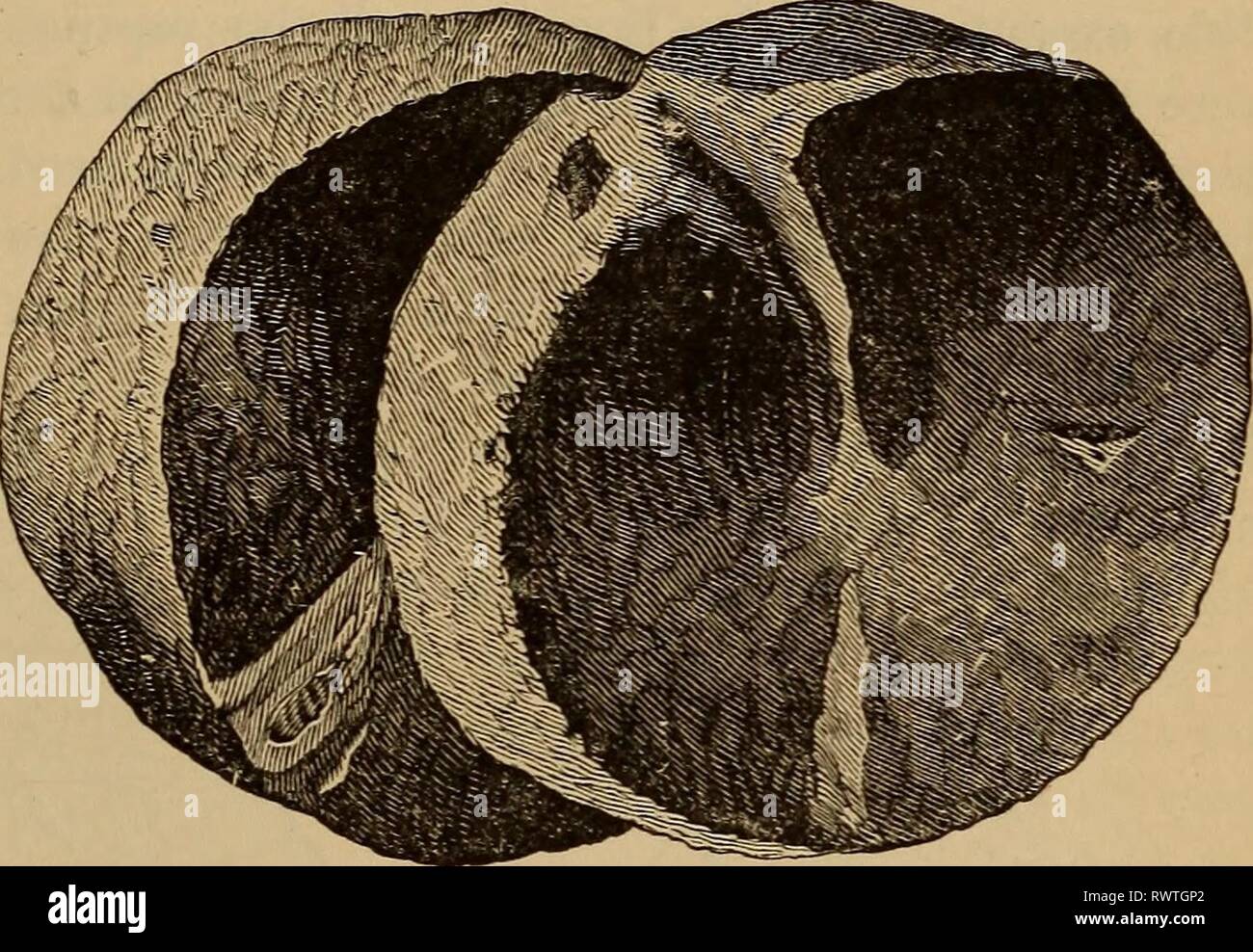 Elements of geology a Stock Photo - Alamy
