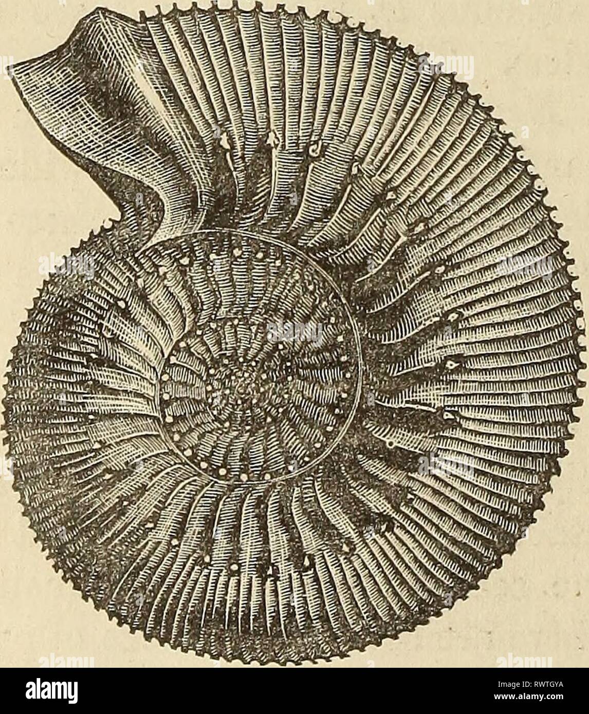 Elements of geology, or, The Elements of geology, or, The ancient ...