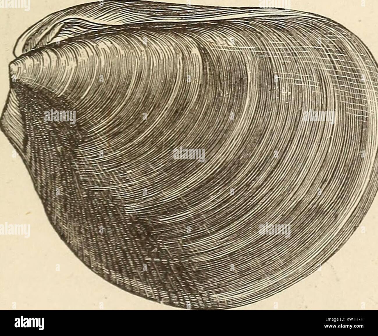 Elements of geology, or, The Elements of geology, or, The ancient ...
