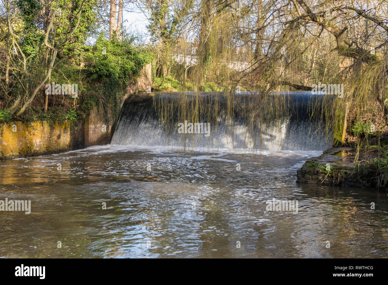 The weir on the river Sid at Sidmouth, Devon, with willow trees just starting to colour up Stock ...