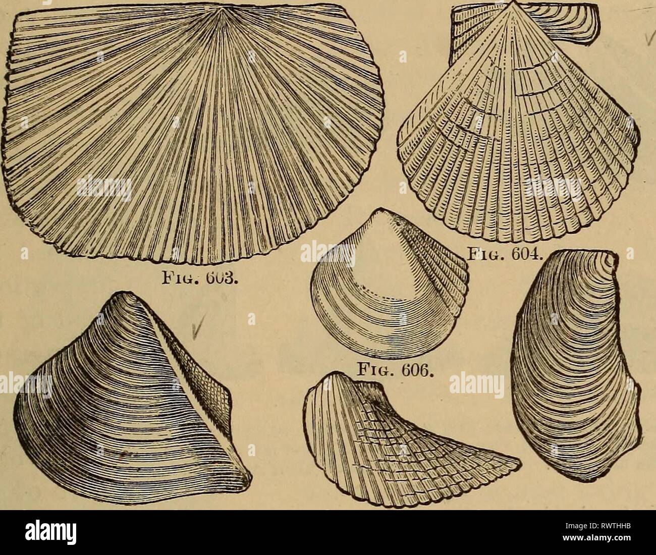 Elements of geology a Stock Photo - Alamy