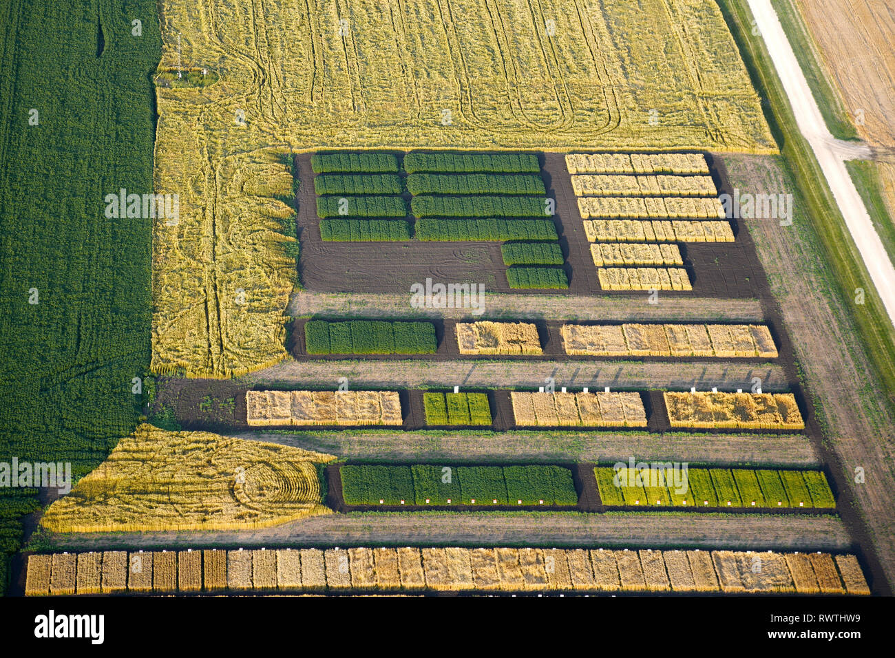aerial, test plots, Kelburn Farm, St Adolphe, Manitoba Stock Photo - Alamy