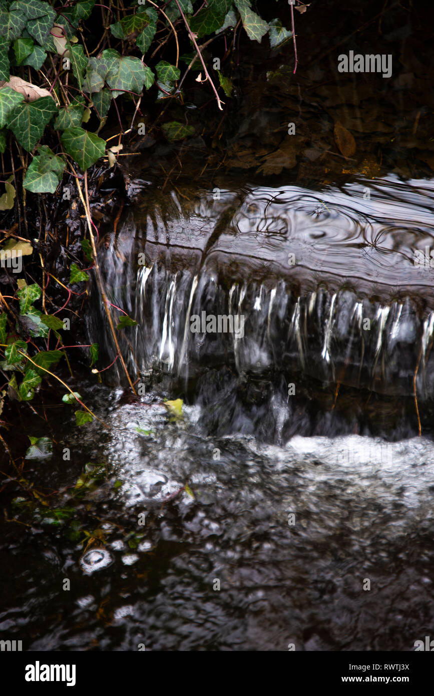 Quiet stream shaded hi-res stock photography and images - Alamy
