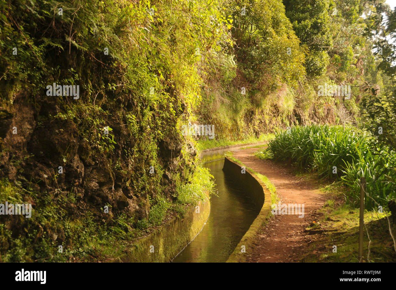 Around Madeira - Levadas of Madeira Stock Photo - Alamy