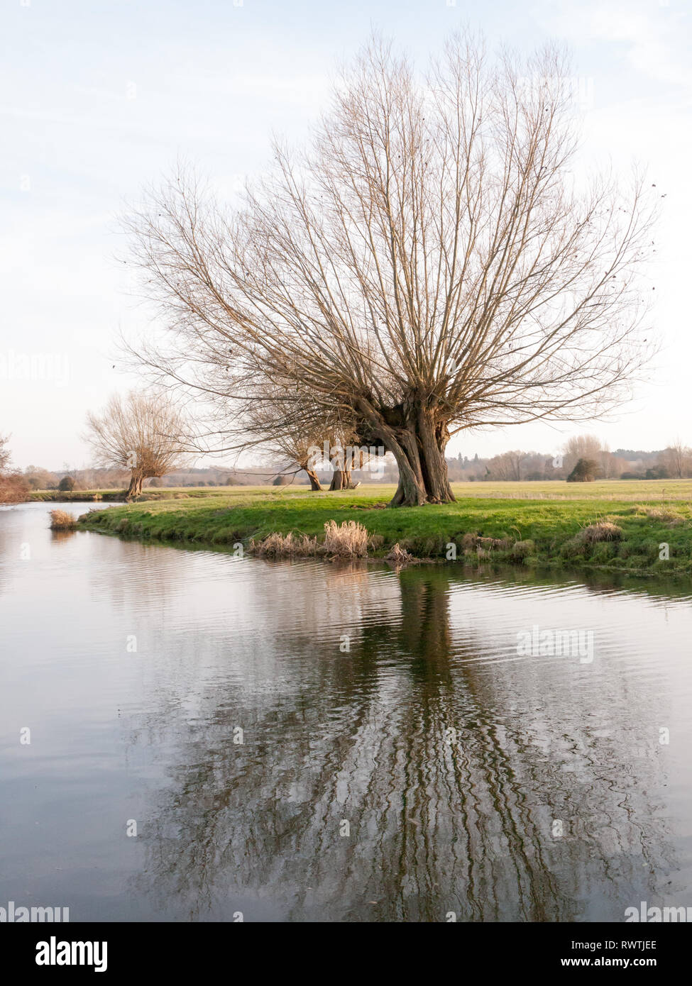 Beautiful countryside Dedham water scene outside nature landscape space ...