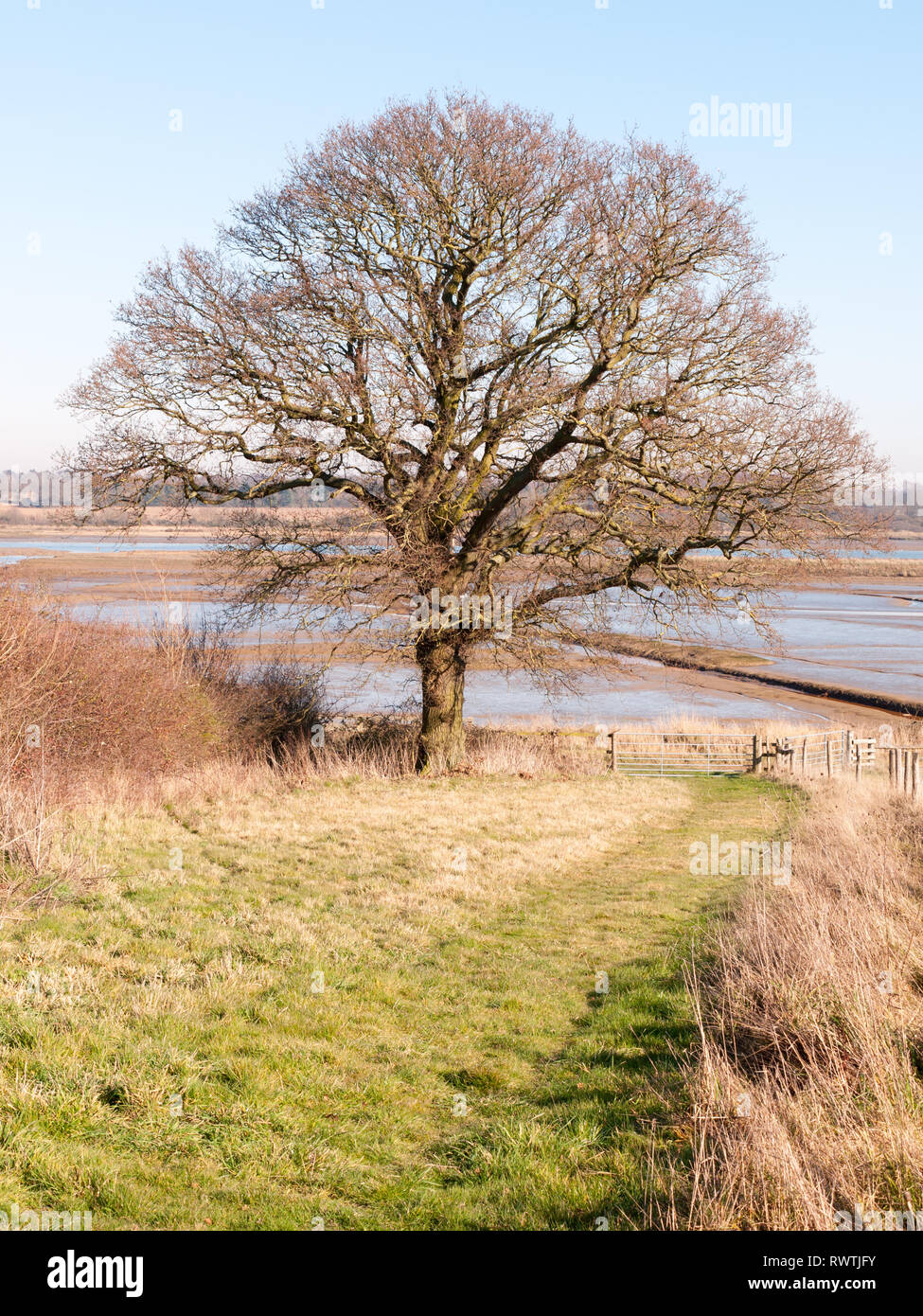 Fingringhoe wick nature reserve outside landscape background space open ...