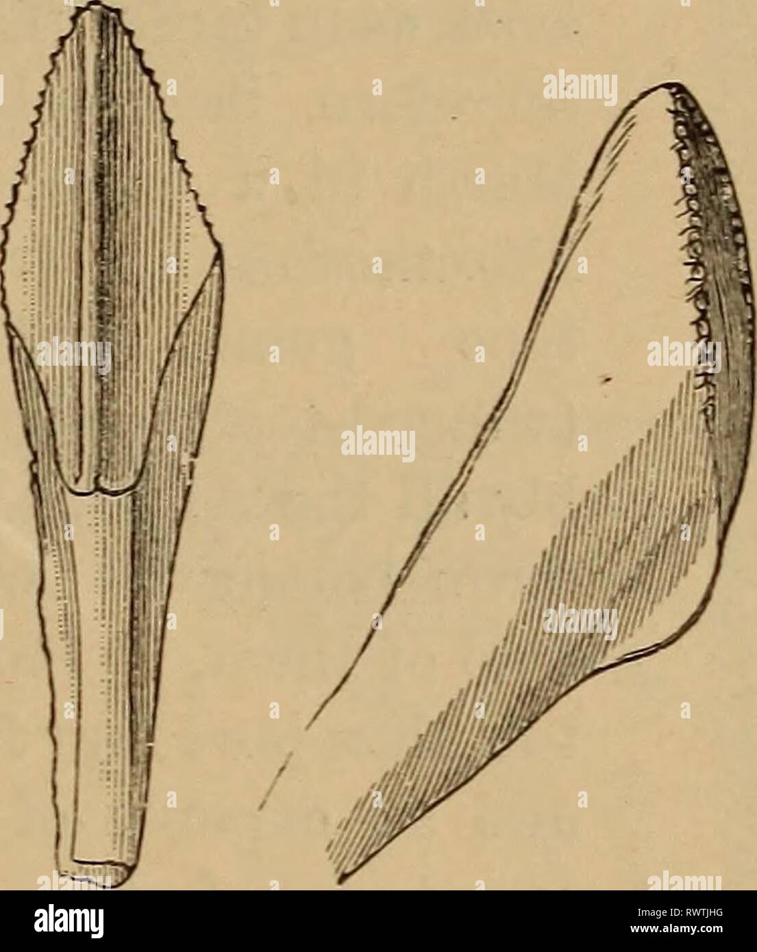 Elements of geology a Stock Photo - Alamy