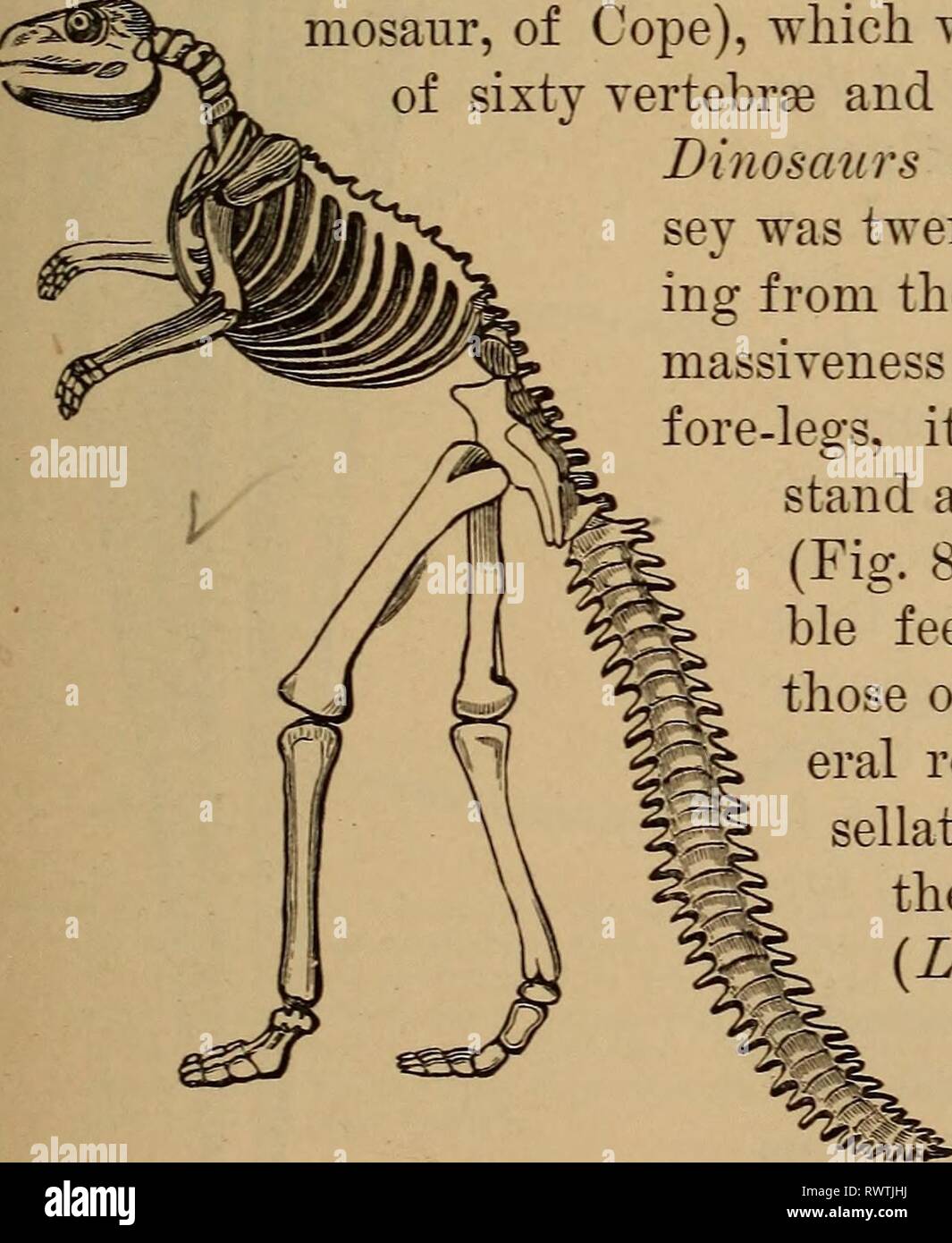 Elements of geology a Stock Photo - Alamy