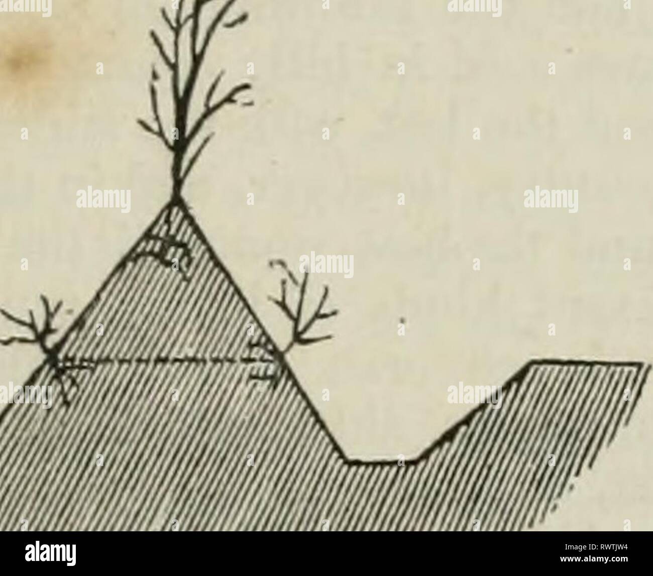 Hedge laying drawing hi-res stock photography and images - Alamy