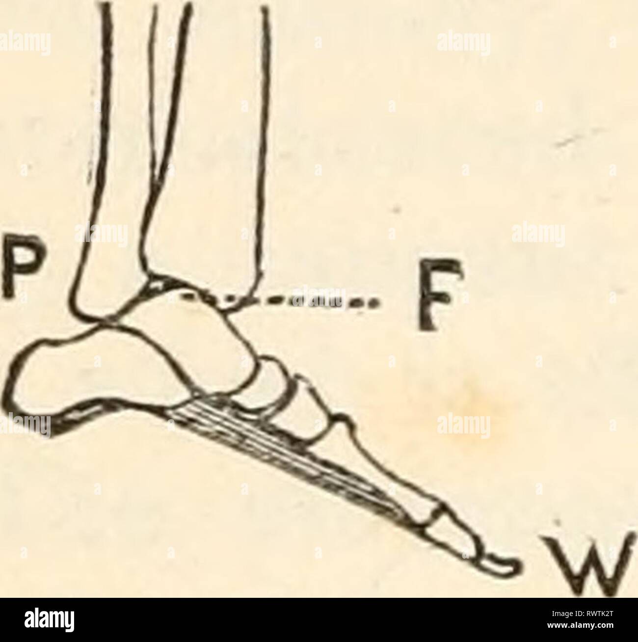 214 foot hi-res stock photography and images - Alamy