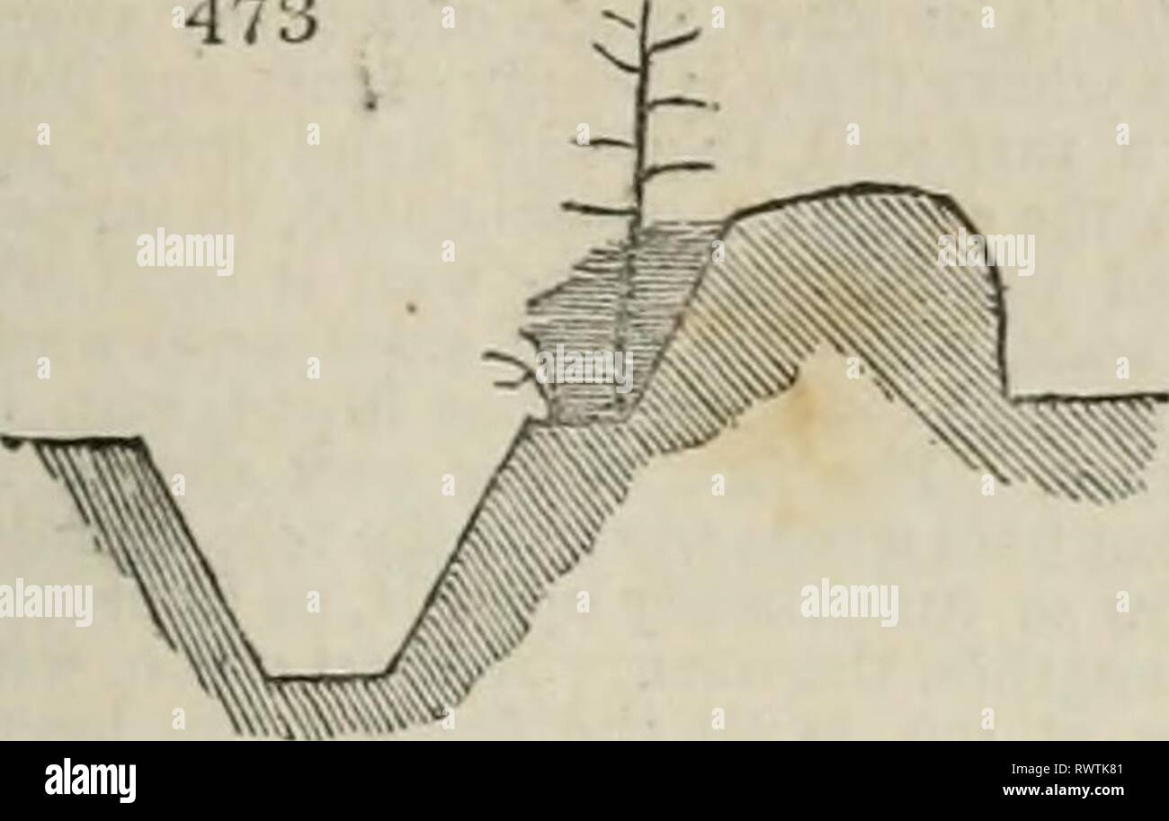 Hedge laying drawing hi-res stock photography and images - Alamy