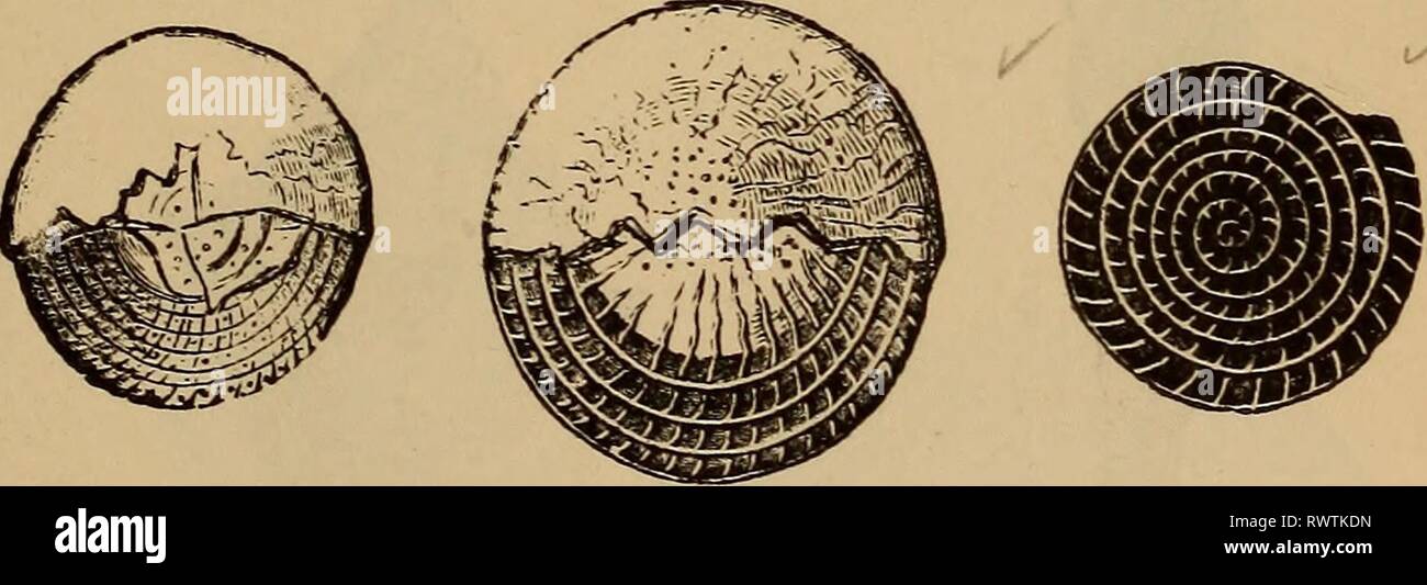 Elements of geology a Stock Photo - Alamy